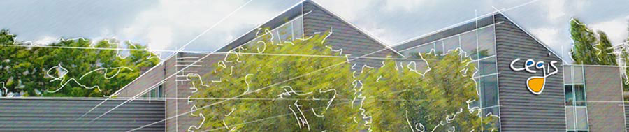 Cegis